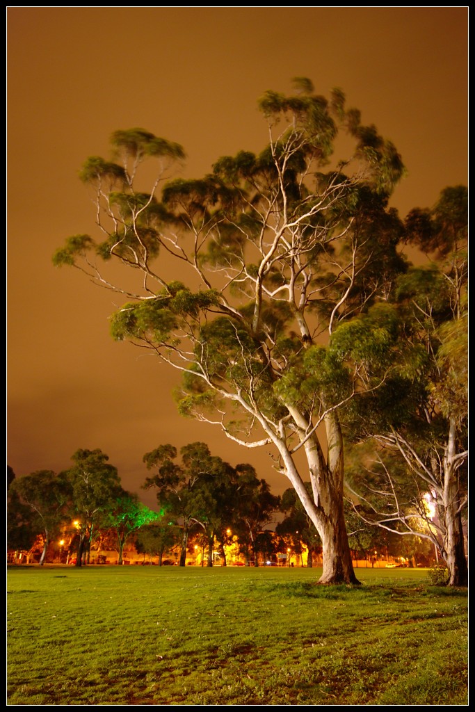 Long Exposures (1) - Dyxum - Page 4